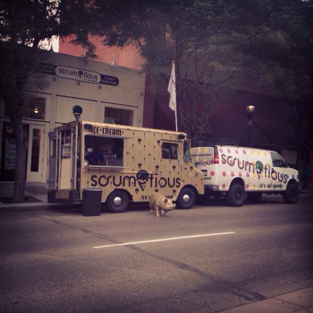 Food Truck Scrumptious Food Truck Scrumptious
